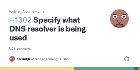 Specify What Dns Resolver Is Being Used · Issue 1302 · Louislamuptime
