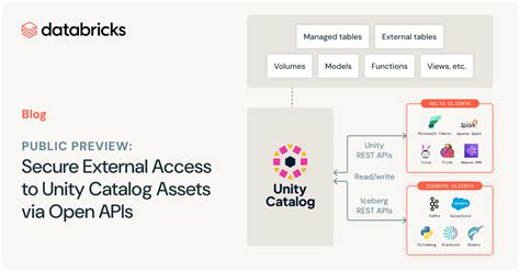 Safe Exterior Entry To Unity Catalog Belongings Through Open Apis