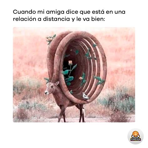 Cuando Mi Amiga Dice Que Está En Una Relación A Distancia Y Le Va Bien Memes