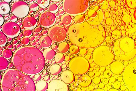 Cholesterol Part 3 The Standard Lipid Panel Revitalize Metabolic Health