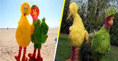 El Misterio Se Ha Resuelto Esta Es La Relación Entre Big Bird Y Abelardo De Plaza Sésamo