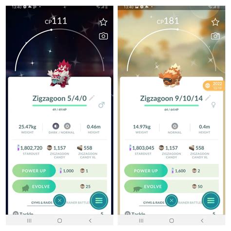 Zigzagoon Shiny Pokémon Sword And Shield Best Ways To Catch And