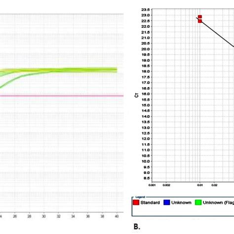 An Amplification Plot A And Standard Curve B Depicting The Download Scientific Diagram