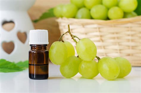 포도 씨 오일 작은 병 천연 뷰티 트리트먼트 레시피 수제 피부 헤어 케어 컨셉 공간을 복사합니다 0명에 대한 스톡 사진 및 기타