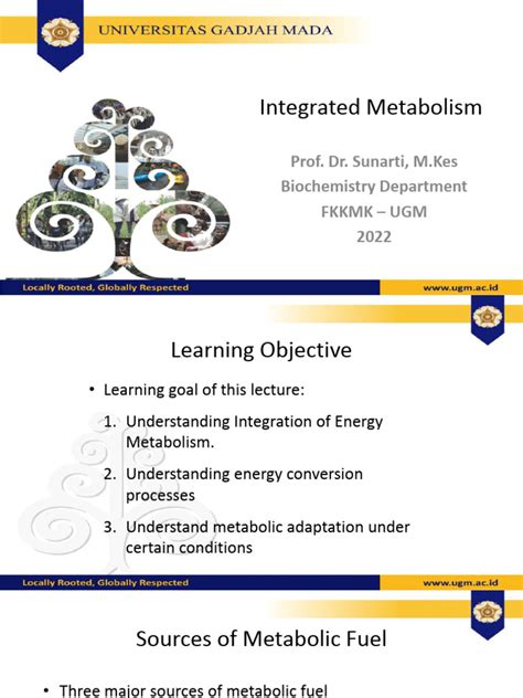 Lecture 18 Integrated Metabolism Prof Dr Sunarti Mkes 2022 Pdf