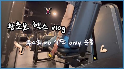 헬스 직장인 헬스 브이로그 퇴근후 헬스 주4회 운동 뮬라웨어 밖에 난 몰라 Youtube