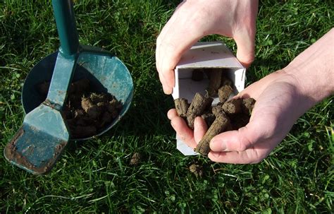 Soil Analysis Basic 6 Samples Shop Kingshay