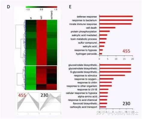 零基础sci绘制模式图篇（38）如何绘制磷脂双分子层 知乎
