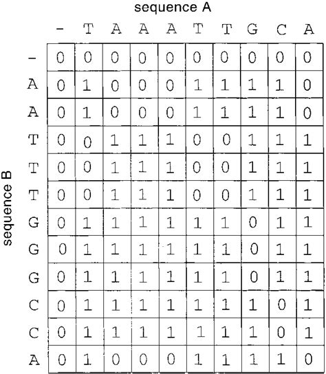 An Initialized Matrix Of A Pairwise Nucleotide Sequence Comparison With Download Scientific