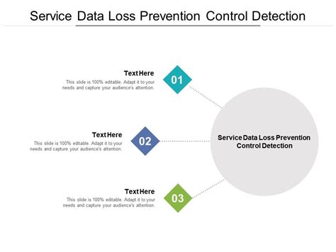 Service Data Loss Prevention Control Detection Ppt Powerpoint Presentation Outline Infographic