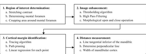 Schematic Diagram For The Algorithm Of Measuring Cortical Width Download Scientific Diagram
