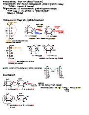 Mcdb Unit 2 Cheat Sheet Pdf Monosaccharides Oligosaccharides Sucrose Sugarunit
