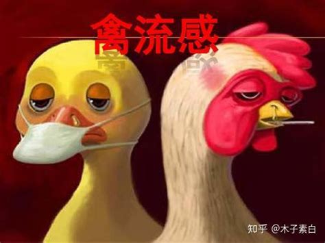 用于检测禽流感h5、h7、h9亚型的三重实时荧光pcr的研发与应用 知乎