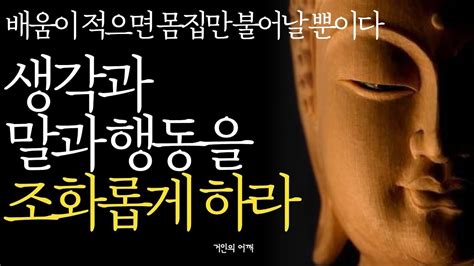 석가모니 명언 인생조언ㅣ똑똑한 사람은 숨기고 어리석은 자는 자랑하는 것 굳어버린 뇌에서 말랑한 뇌로 돌아가는 방법 게으름과 무기력 끊어내는 너무 간단한 방법