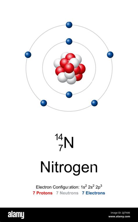 Atomic Structure Diagram Of Nitrogen Nitrogen Molecules Mole