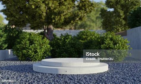 뒤뜰에있는 둥근 돌 플랫폼과 그림자 배경의 자연 나무 추상적 인 외부 건축과 광고 개념을위한 랜드 마크 객체 3d 그림 렌더링 3차원 형태에 대한 스톡 사진 및 기타 이미지