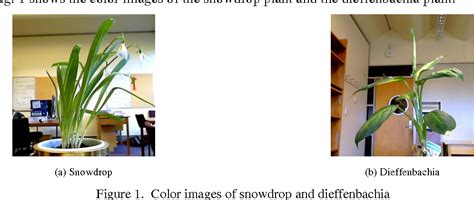 figure 1 from super resolution for depth maps semantic scholar