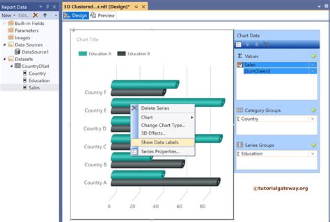 Ssrs 3 D Clustered Horizontal Cylinder Chart