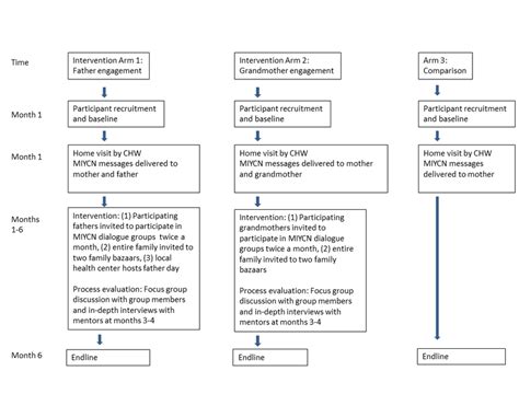 Intervention Flow Diagram Download Scientific Diagram