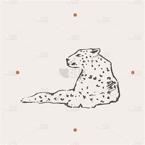 豹的写实插图。画一个向量