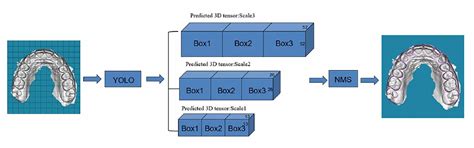 Figure From An Efficient Method Of Tooth Segmentation Under Massive Medical Data Semantic