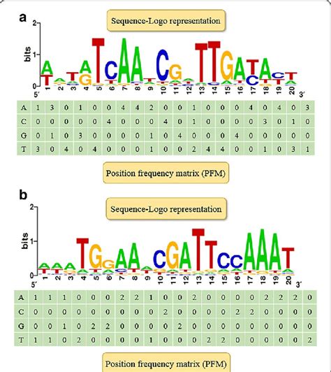 Consensus Sequence Motif Of The Transcription Factor Binding Sites Download Scientific Diagram