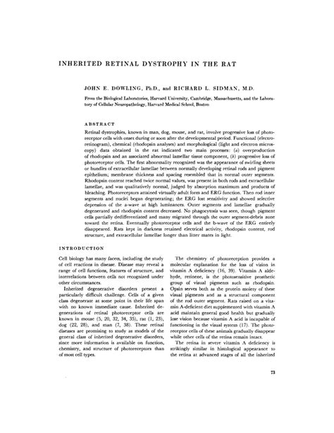 Pdf Inherited Retinal Dystrophy In Rat