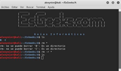Usos Del Comando Rm En Linux Con Ejemplos Esgeeks