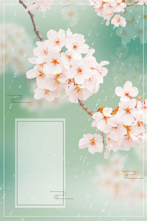 春分雨水花朵绽放摄影图合成背景背景图片素材免费下载熊猫办公