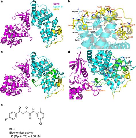 X Ray Structures Of P Tefb In Complex With Aff4 And The Structure Of Download Scientific