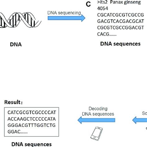 Exemplary Application Of Ddqr In The Storage And Retrieval Of Dna Download Scientific Diagram