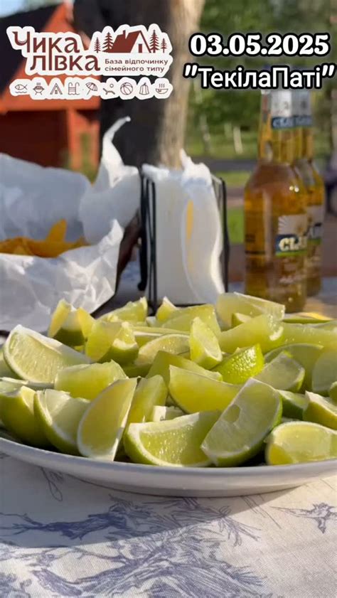 Chikalivka Baza Baza Chykalivka • Instagram Photos And Videos