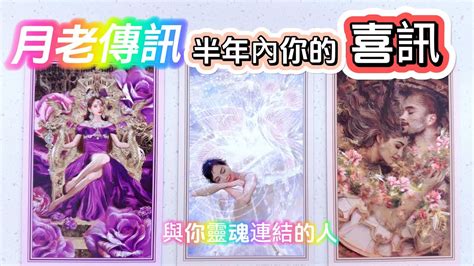 塔羅占卜🔮月老傳訊💘你的喜訊🐬🍎（官方line917dlnec） Youtube