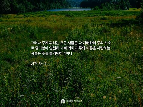 Daily Bible Inspirations