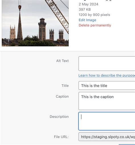 NO BUG No Image Title Displays On Front End When Show Title Checked Bugs Bricks Community Forum
