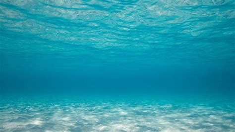 海の中 Sea 1600x900px のデスクトップpc用の壁紙 高画質 壁紙キングダム