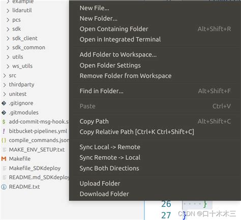 Vscode 使用 Sftpvscode Sftp Csdn博客