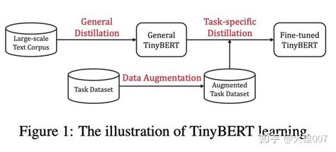 一文详解tinybert 知乎