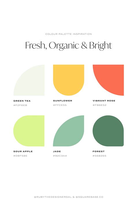 Fresh Organic And Bright Colour Palette For Your Brand Or Squarespace