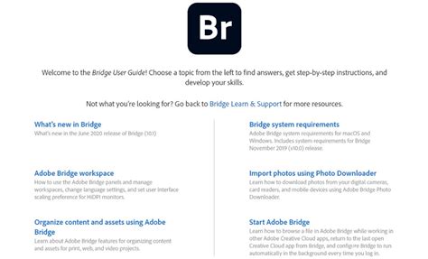 Solved 🔎 What Is Adobe Bridge And Who It Is For Now Adobe Community