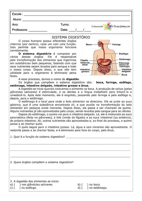 Atividade Do Sistema Digestivo Magedu