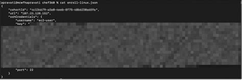 Node Management For Job Orchestration Chef