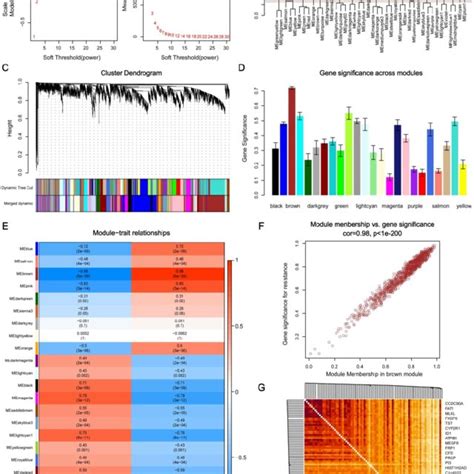 Identification Of Key Modules And Key Genes Associated With Acquired Download Scientific