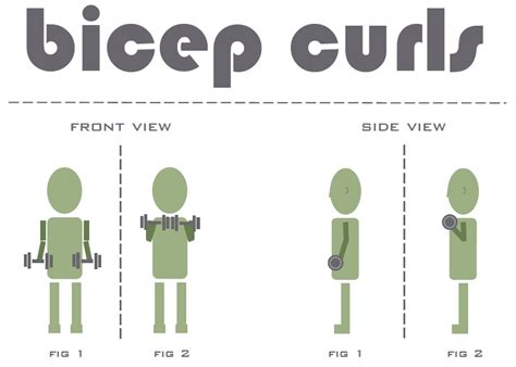 Lookin Good Babe Weight Training Bicep Curls