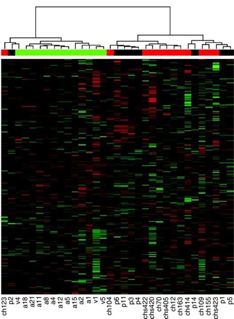 Hierarchical Clustering Of The Microarray Data From 13 Autonomous