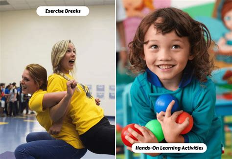 20 Brain Based Learning Activities Teaching Expertise