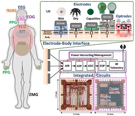 Integrated Circuits And Electrode Interfaces For Noninvasive Physiological Monitoring Ieee