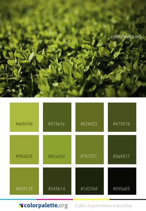 Green Grass Vegetation Color Palette