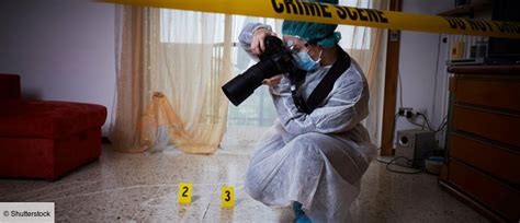 Sp Ciale Sexe Perversion Et Meurtre S E Crimes T L Loisirs