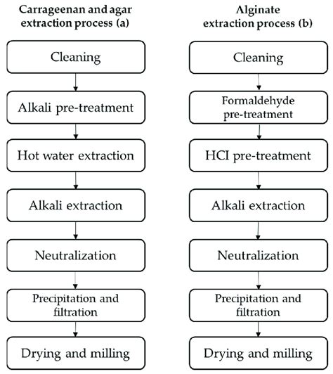 Extraction Processes For Commercial Macroalgal Hydrocolloids A Download Scientific Diagram
